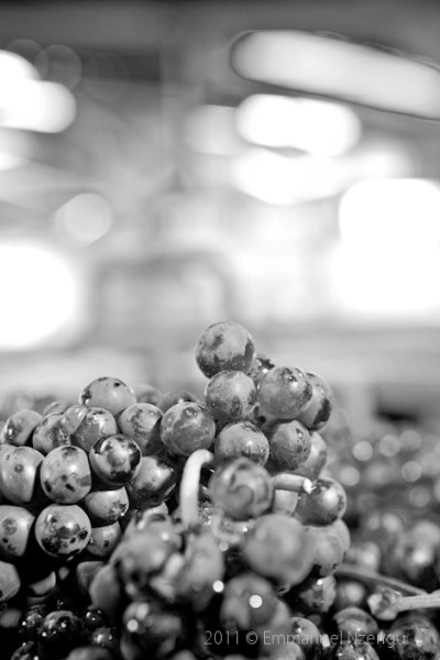 Gallery - Champagne Thiercelin